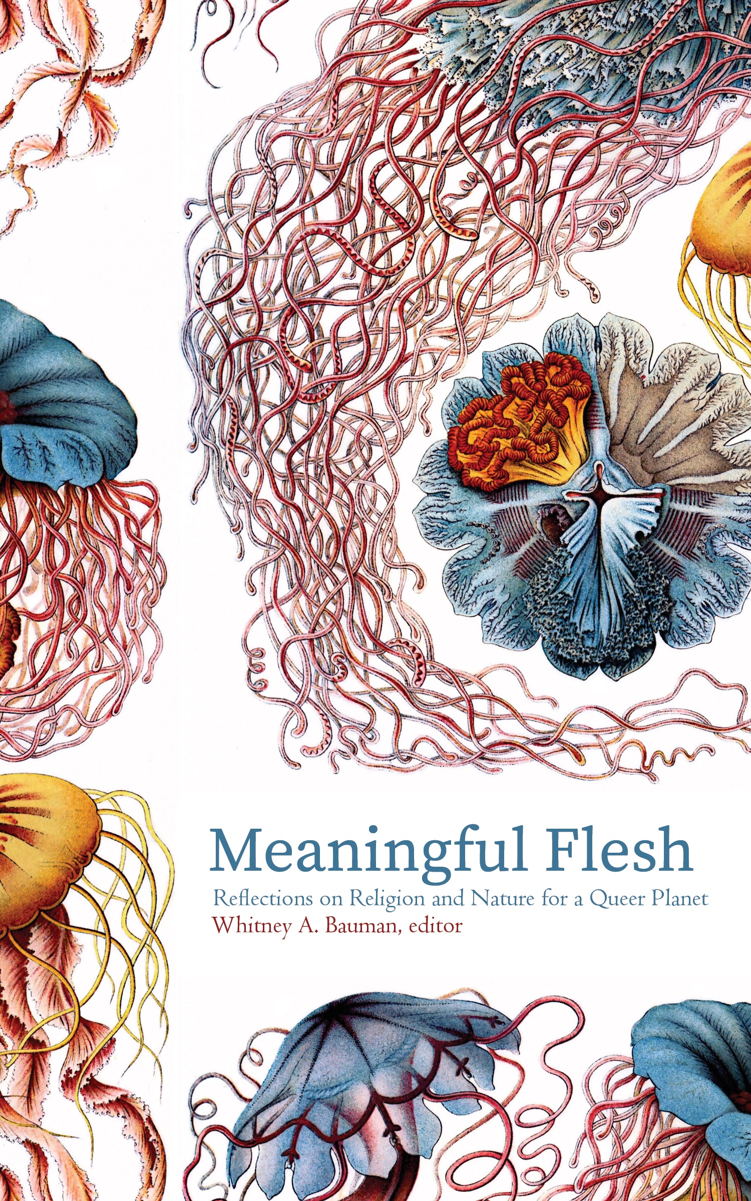 Meaningful Flesh: Reflections on Religion and Nature for a Queer Planet ...
