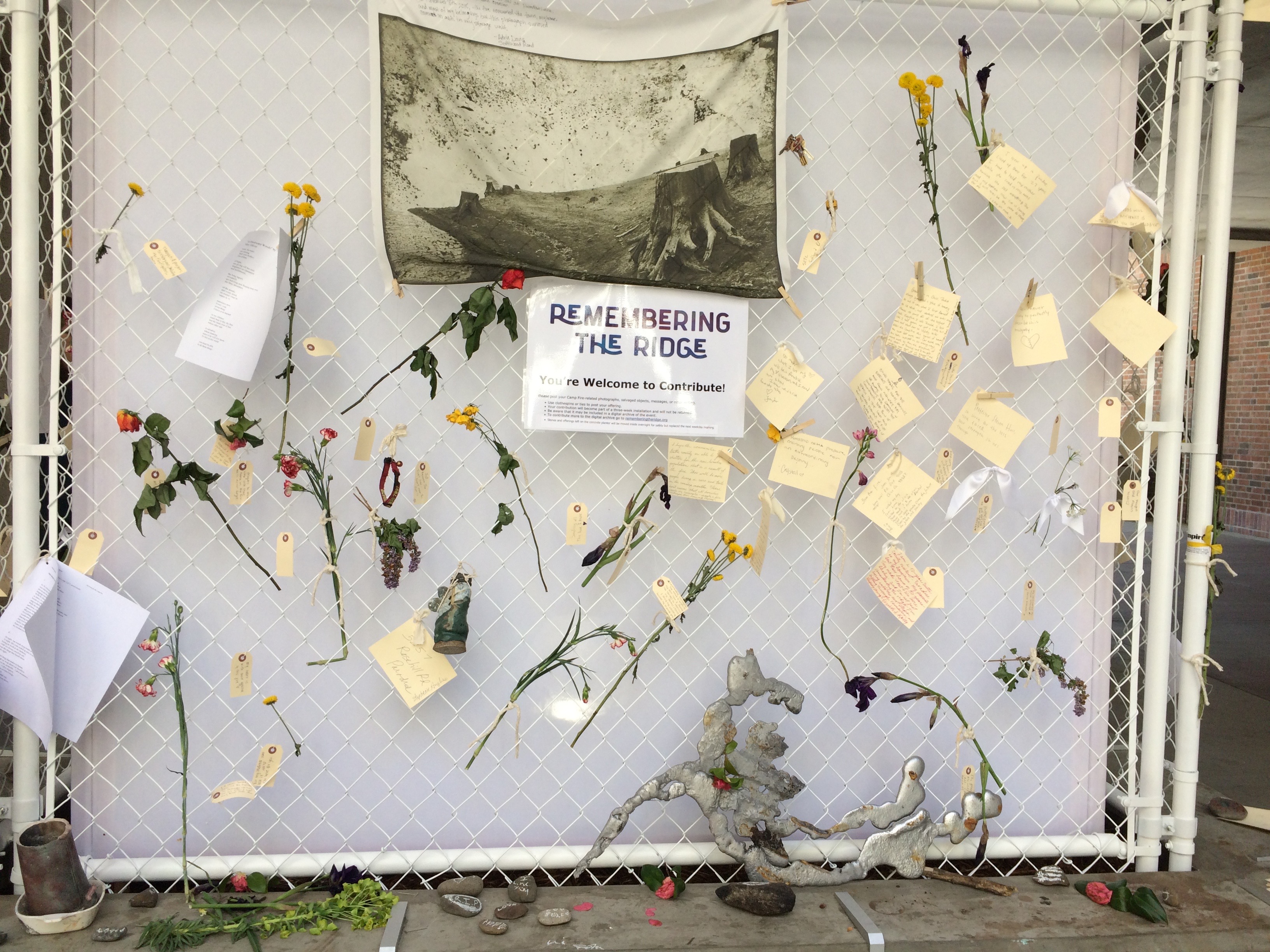 Memorializing in the Aftermath of Disaster - Counterpoint: Navigating ...