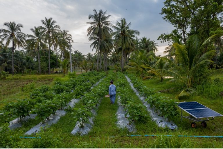 Making Kin - Counterpoint: Navigating Knowledge