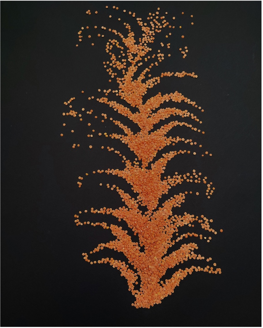 Seeds Planting Art - Counterpoint: Navigating Knowledge