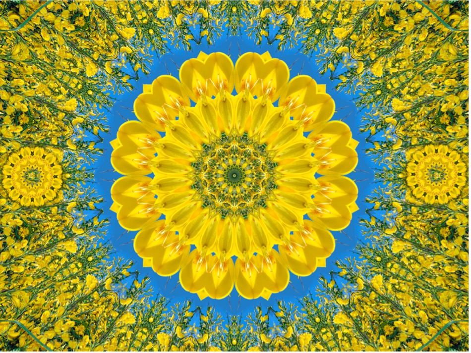 Seeds Planting Art - Counterpoint: Navigating Knowledge