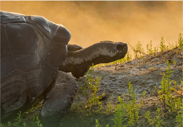 The Sacred Depths of Nature: 25 Years Later - Counterpoint: Navigating ...