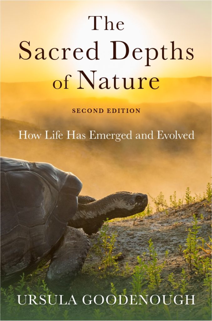 The Sacred Depths of Nature: 25 Years Later - Counterpoint: Navigating ...