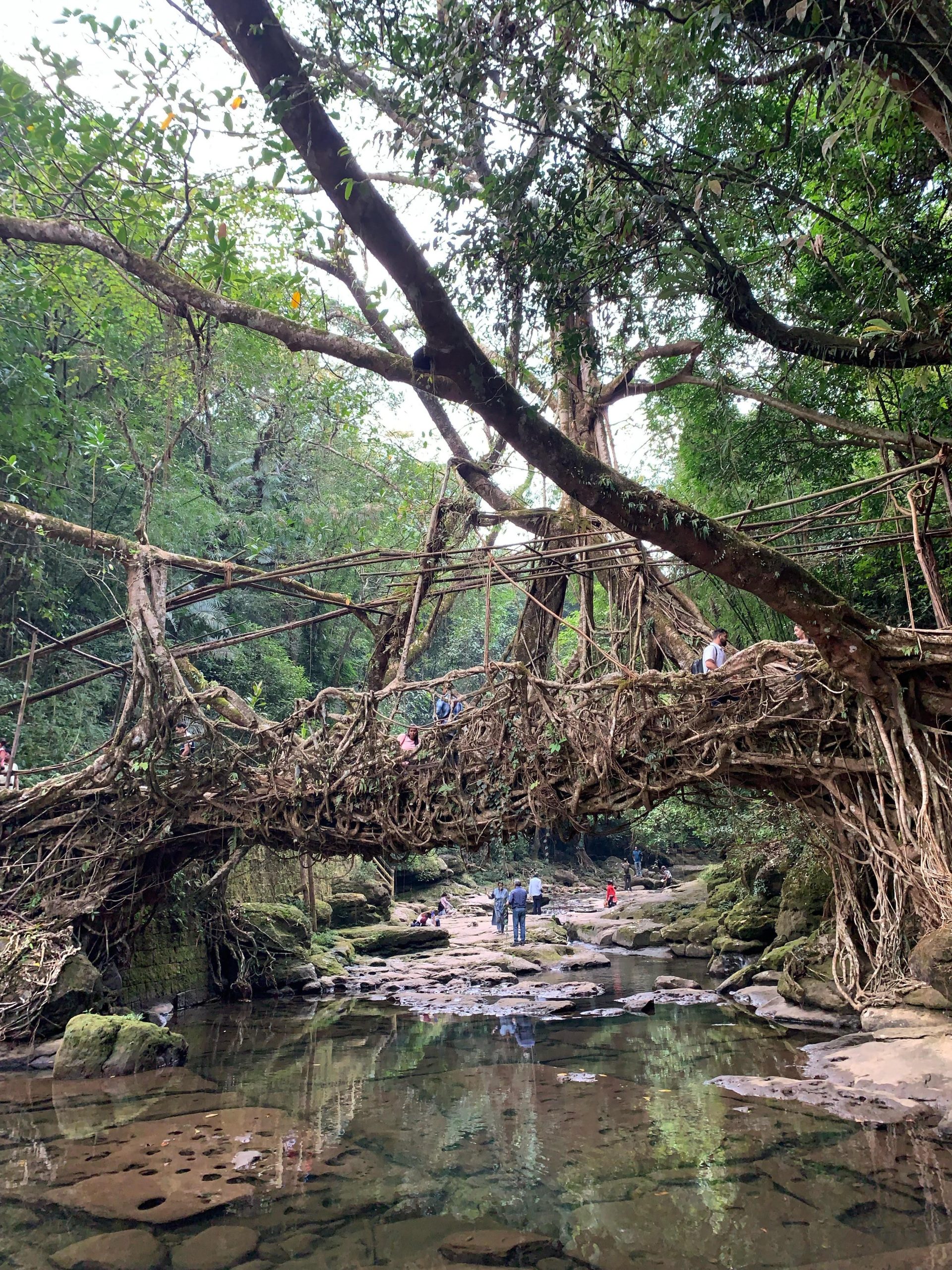 Bridging the Human and More-than-human World - Counterpoint: Navigating Knowledge