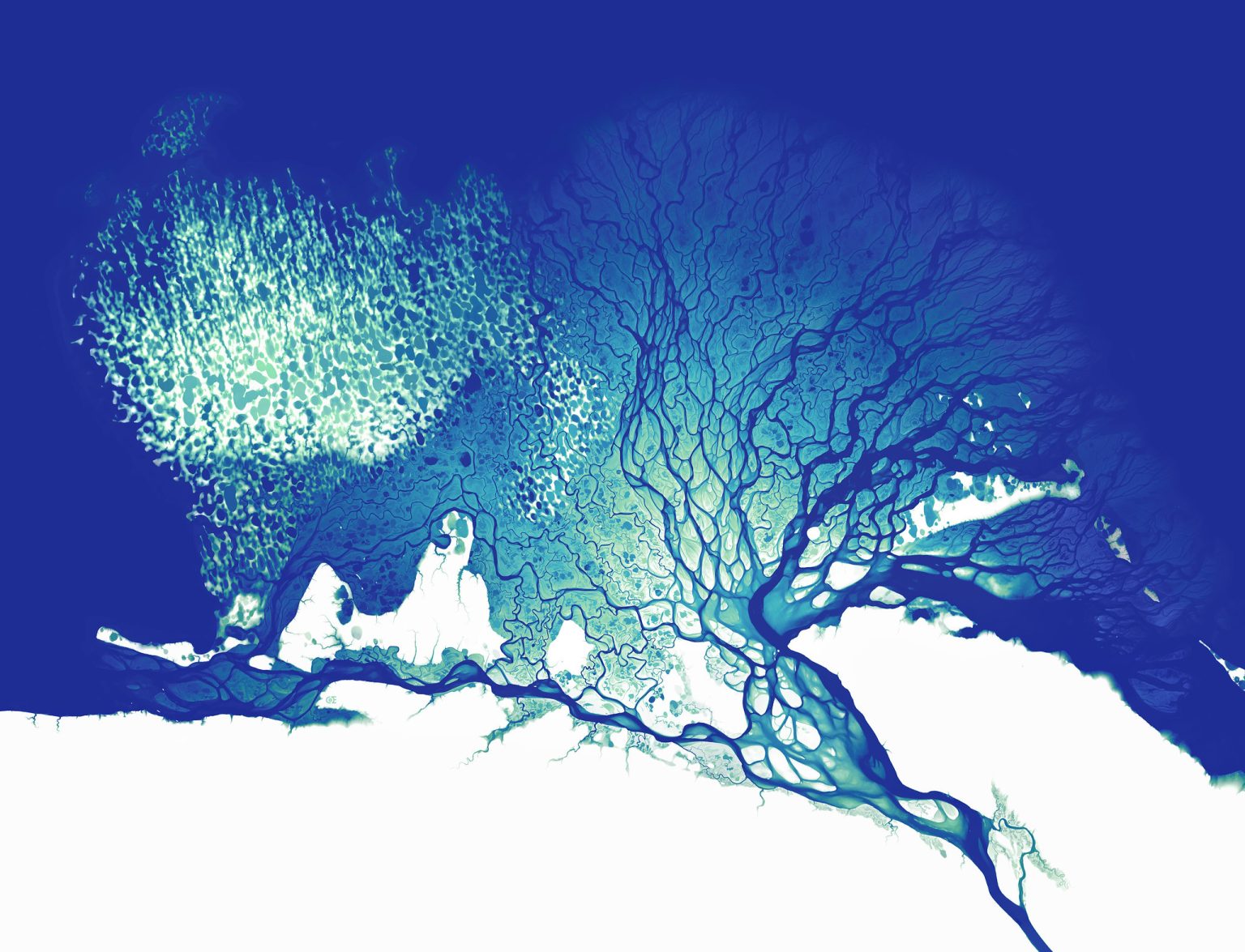 A Watersheds Moment - Counterpoint: Navigating Knowledge