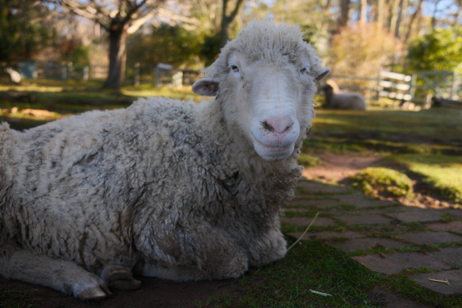 A Watersheds Moment - Counterpoint: Navigating Knowledge