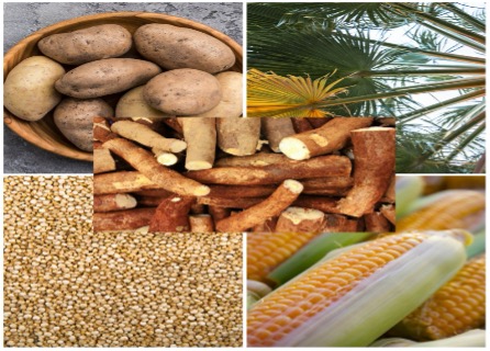 Gastrocolonialism and the Unmaking of Worlds - Counterpoint: Navigating ...